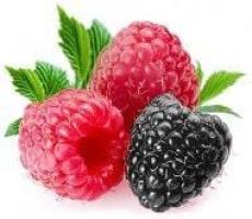 ЕЖЕМАЛИНА: купить саженцы ежемалины почтой в Одессе, Киеве, Украине в ...