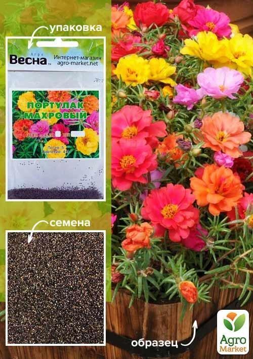 Портулак махровий (Зипер) ТМ "Весна" 1г купити поштою в Одесі, Києві ...