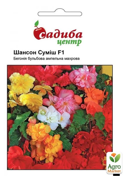 Бегонія "Шансон F1 Суміш" ТМ "Садиба центр" 10шт купити поштою в Одесі ...