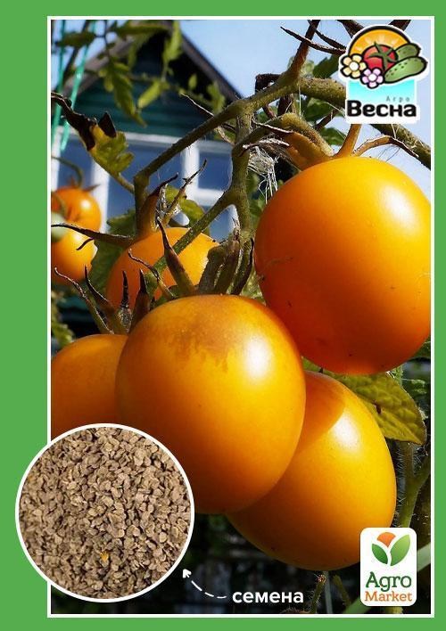 Томат "Де-бару жовтий" ТМ "Весна" 0.1г купити поштою в Одесі, Києві ...