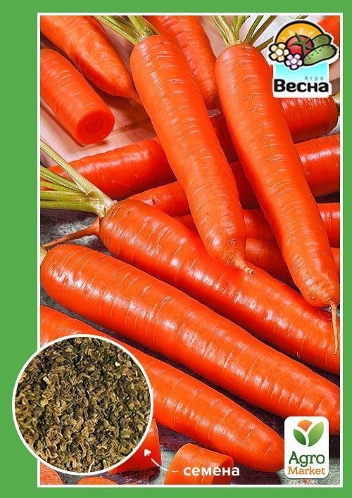 Морковь "Сладкая зимняя" (Новый пакет) ТМ "Весна" 2г купить почтой в ...