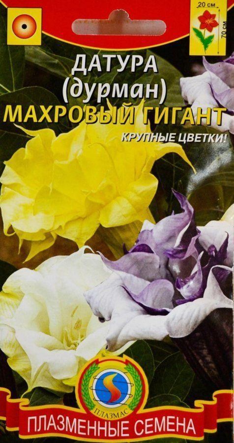 Датура (дурман) "Махровый гигант" ТМ "Плазмас" 4шт купить почтой в ...