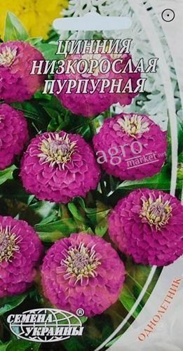 Цинния низкорослая пупурная ТМ "Семена Украины" 0.5г купить почтой в ...