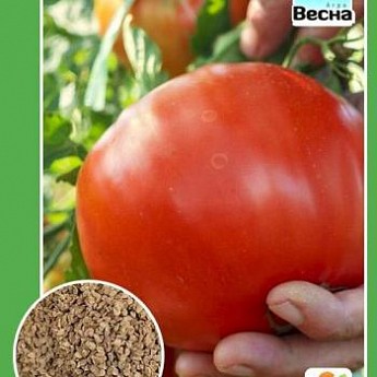 Томат "Снегирь": купить в Одессе, Киеве и Украине - Agro-Market