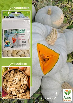 СЕМЕНА ТЫКВЫ: купить семена тыквы почтой в Киеве, Одессе и Украине ...
