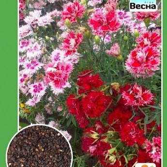 Гвоздика перистая "Махровая смесь" ТМ "Весна" 0.3г купить почтой в ...